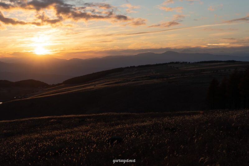 エモい写真が撮影できるソフトフィルター。ブラックミストNo.05について | yuruyama