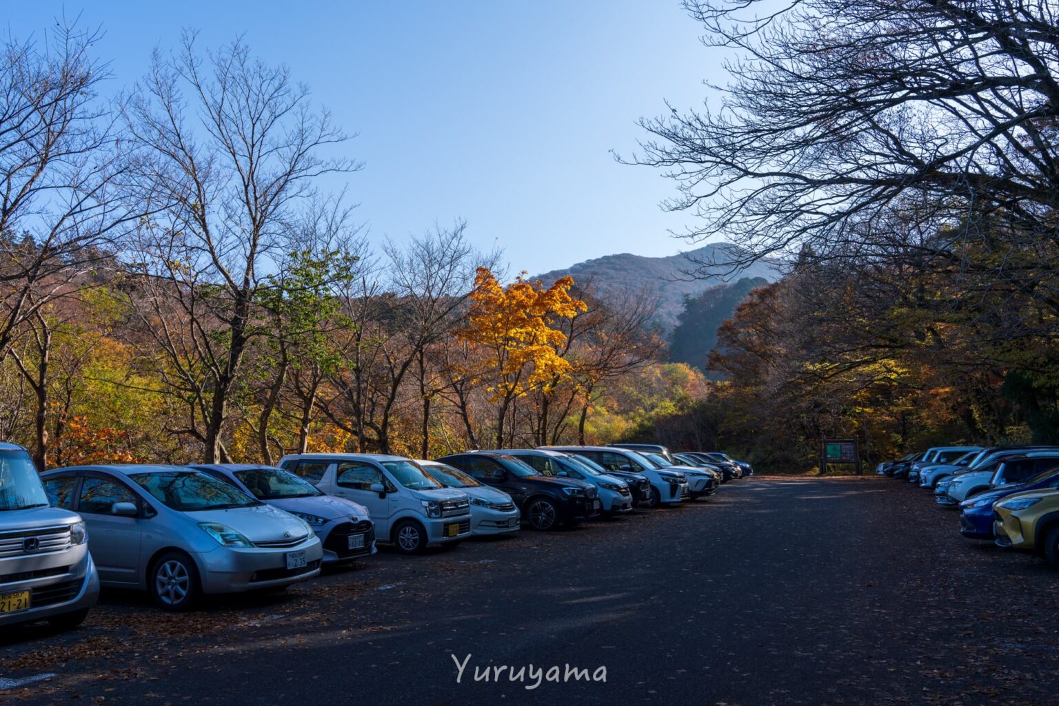 登山初心者を連れて、晩秋の伯耆大山で日帰り登山を楽しんできました | yuruyama