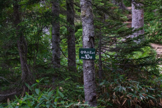 真夏のパノラマ銀座縦走！2泊3日のテント泊記録 1日目 | yuruyama