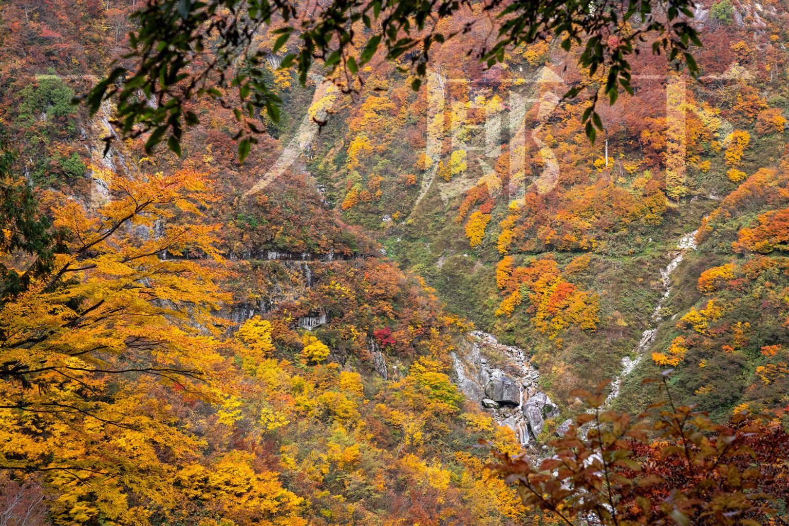 紅葉に彩られた下ノ廊下と水平歩道をテント泊で楽しんできました。 | yuruyama