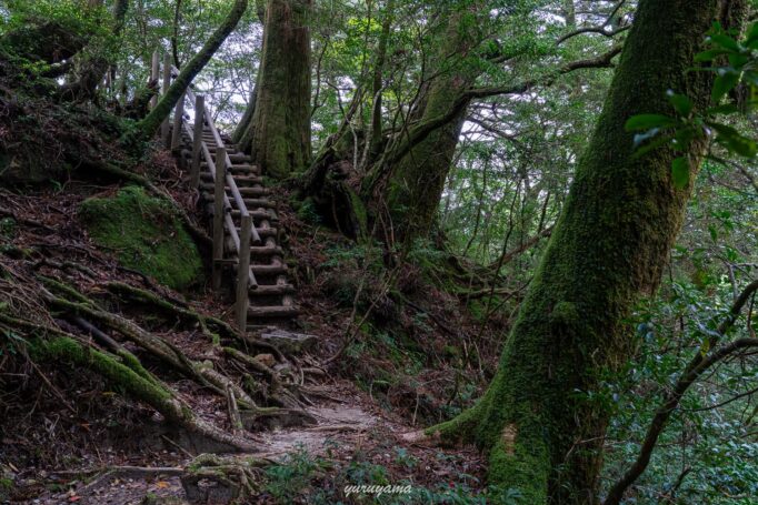 【九州】国内最南端の百名山。淀川登山口から洋上アルプスの宮之浦岳へ。2泊3日の小屋泊縦走登山。 | yuruyama